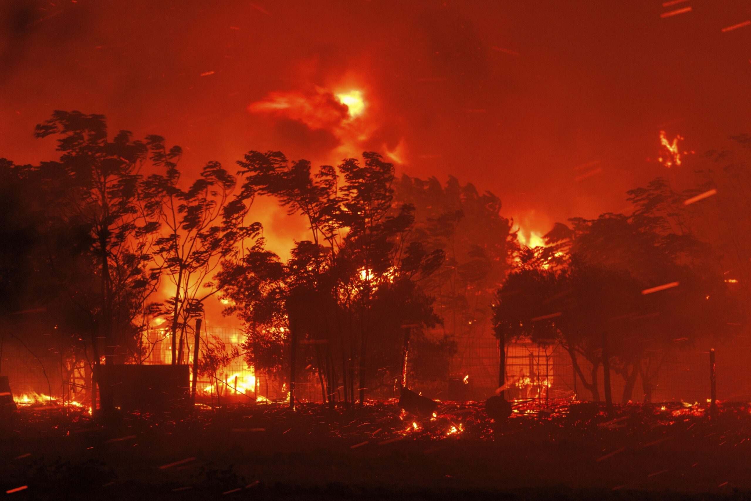Γιατί οι πυρκαγιές γίνονται όλο και πιο επιθετικές – «Τρομάζουν» τα ...